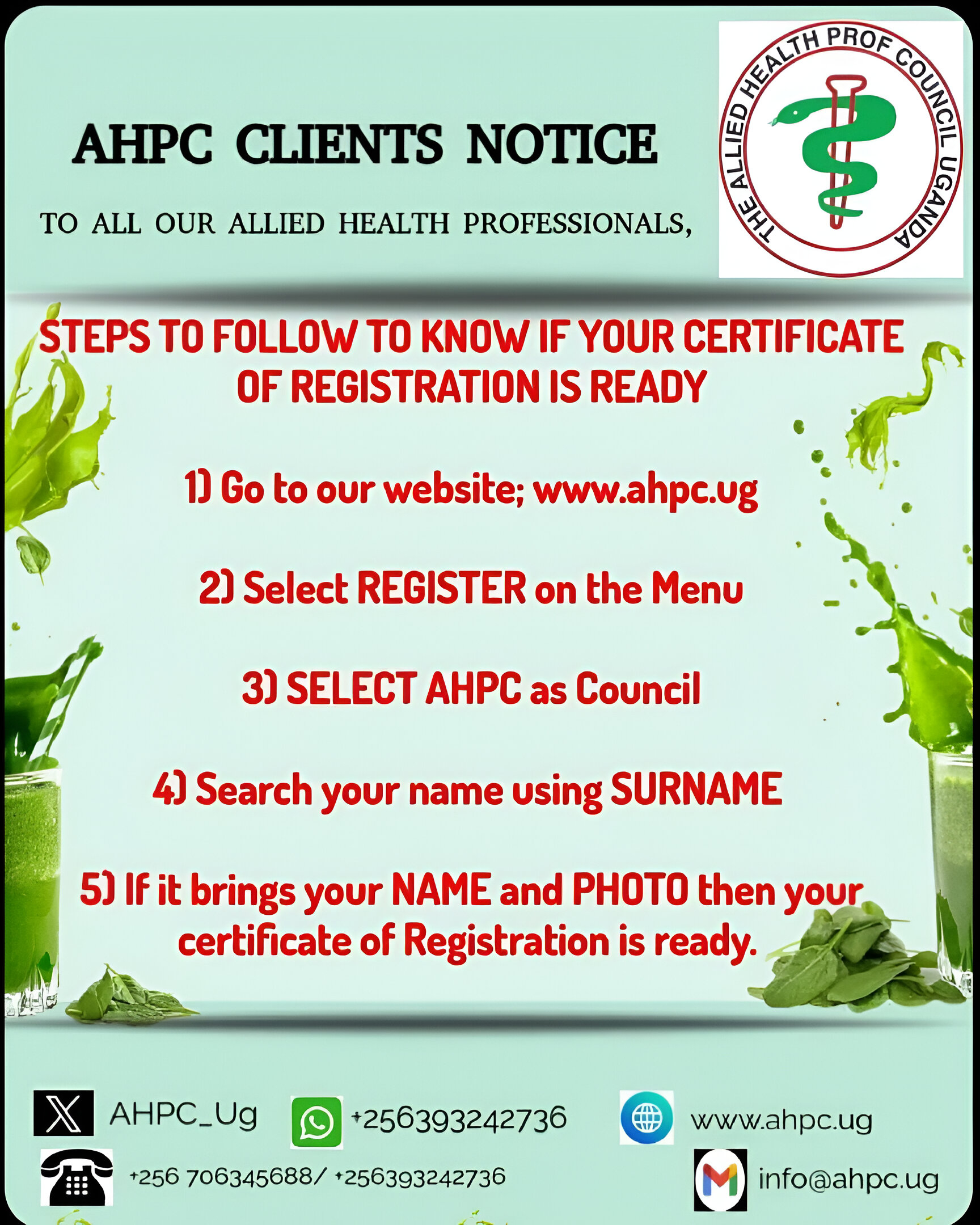 Council Framework | The Allied Health Professionals' Council - AHPC